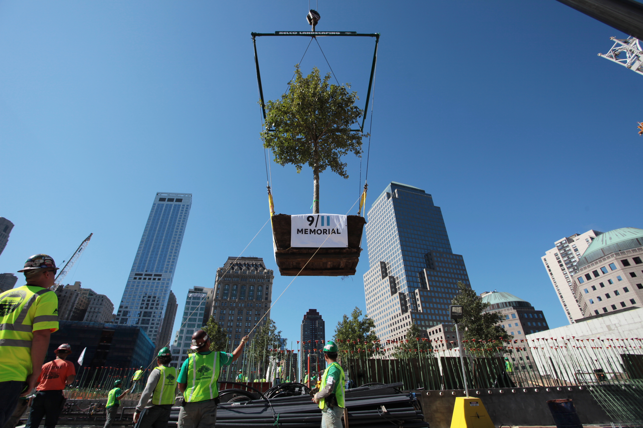 Honoring Purple Heart Day at 9/11 Memorial | National September 11 ...